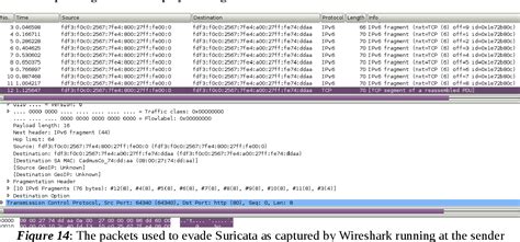 Figure 14 From Evasion Of High End IPS Devices In The Age Of IPv6 Semantic Scholar