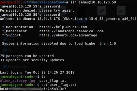 tryhackme agent sudo sckull