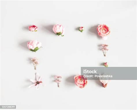 꽃 조성물 파스텔 회색 배경에 분홍색 꽃으로 만든 프레임입니다 발렌타인 데이 어머니의 날 여성의 날 개념 플랫 레이 상단 보기 복사 공간 0명에 대한 스톡 사진 및 기타