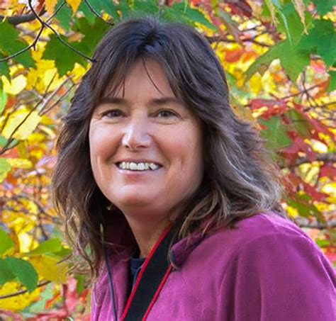 Sandy Roe Official Website