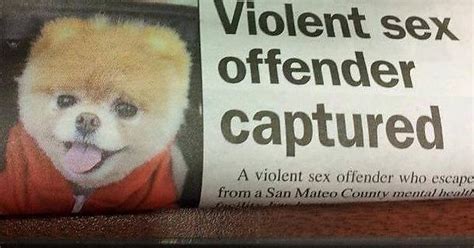 i can sleep a bit easier now imgur