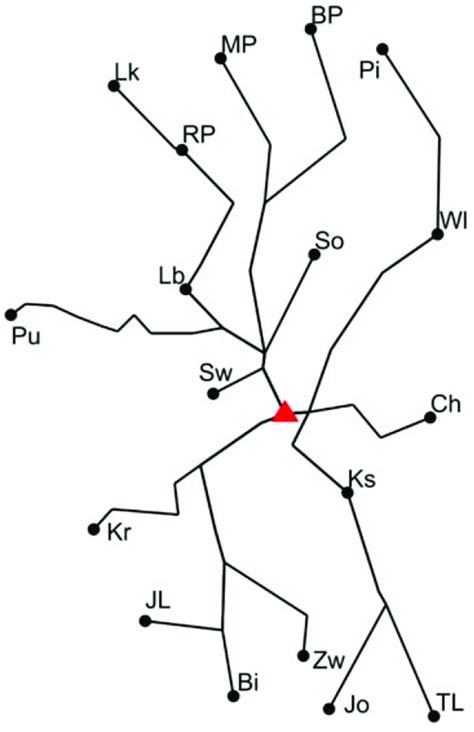 The Minimum Cost Tree Rooted In Optimal Location Download Scientific Diagram