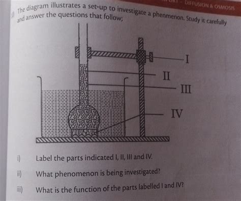 Solved Ur Diffusion And Osmosis The Diagram Illustrates A Set Up To Investigate A Phenmenit