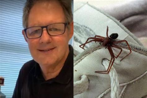 Turista Morre Durante Viagem Após Ser Picado Por Aranha Marrom