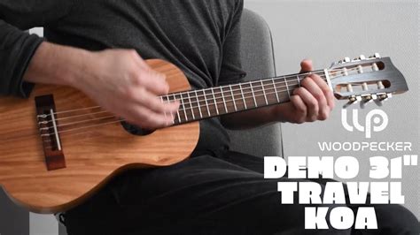 31 Woodpecker Travel Koa Demo
