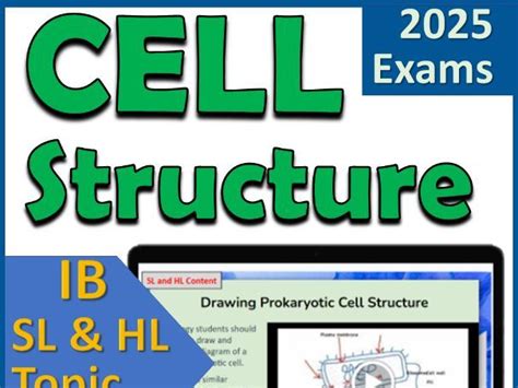 IB Biology A2 2 Cell Structure First Exams 2025 Complete Presentation Teaching Resources
