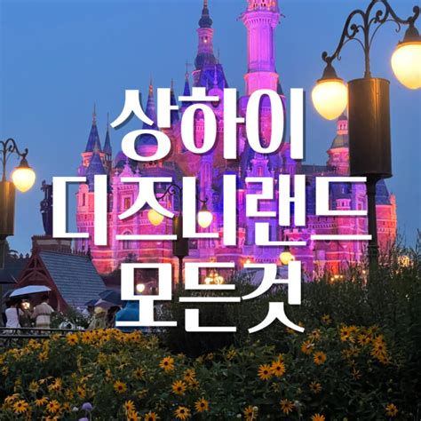 상하이 디즈니랜드 놀이기구 티켓 주토피아 비 오는 날 후기 네이버 블로그