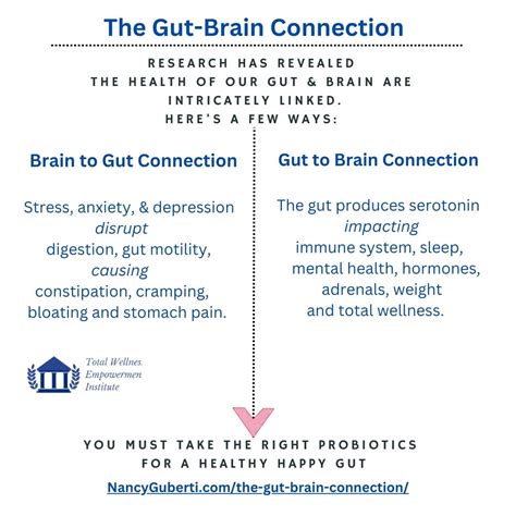Gutbrainlinknancyguberti