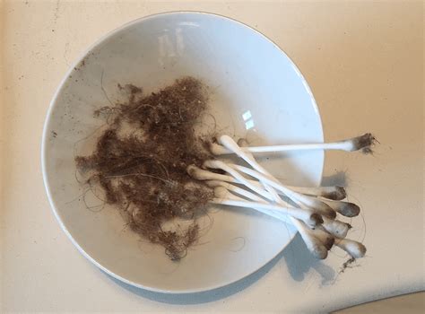 Clean Clickety Clack Keyboard Jeremy Cherfas