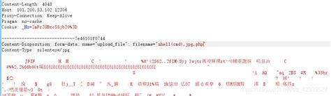文件上传and中国菜刀 —— 【wust Ctf2020】cv Maker Csdn博客
