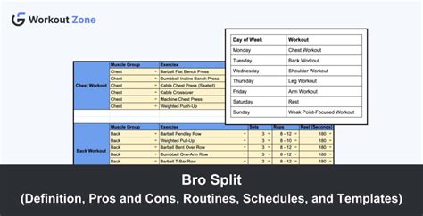 Bro Split Definition Pros And Cons Routines Schedules And Templates