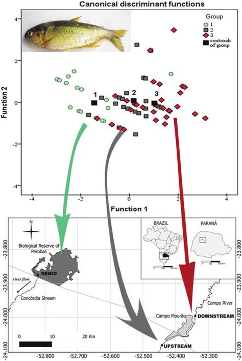 2 Graph Of Canonical Discriminant Functions Showing The Ordination Of Download Scientific