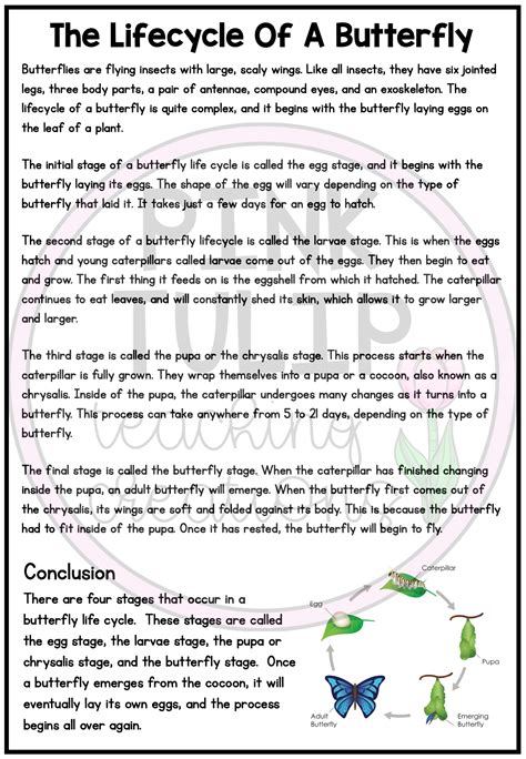 Explanation Text Year 2 Examples