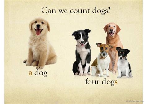 Countable And Uncountable Nouns Qua Deutsch DAF Powerpoints