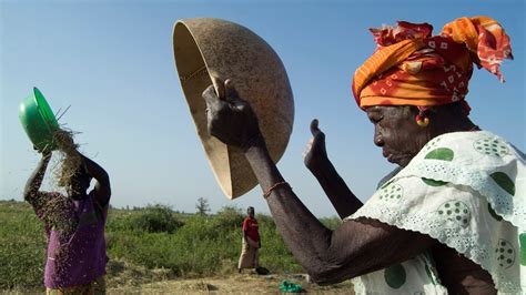 Transforming Food Systems For Rural Prosperity Amal Abdirazak