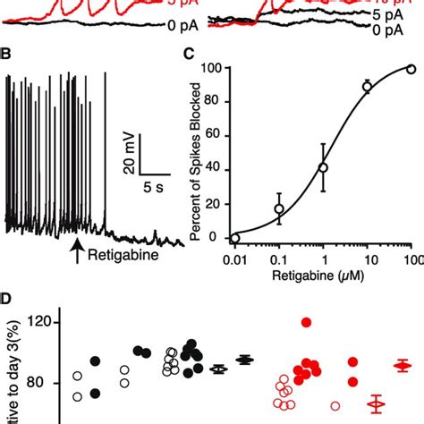 Multielectrode Array Recording Reveals Increased Spontaneous Firing In