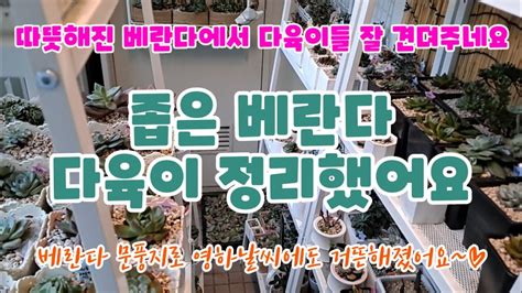 좁은베란다에 다육이 정리했어요~ 베란다 따뜻하게 겨울대비해요~ Youtube