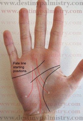 How To Write Test Cases The Ultimate Guide With Examples