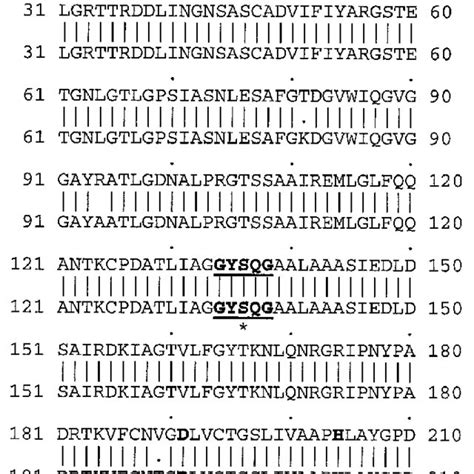 Comparison Of Predicted Amino Acid Sequences Single Letter Codes