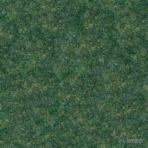 Grass Seamless Texture Material Map For Creating Materials Background Canvas Prints For The