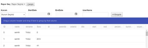 Jquery Telerik Grid Showing Non Existent Columns ASP NET MVC Stack Overflow