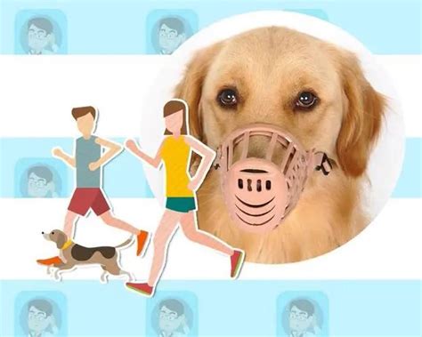 狂犬病百科全书 知乎