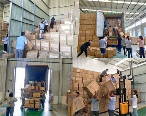 China 12 Port Cat6 UTP Patch Panel Manufacturers Suppliers Factory