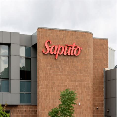 Top 10 Dairy Products Manufacturers Revolutionizing Quality And Innovation