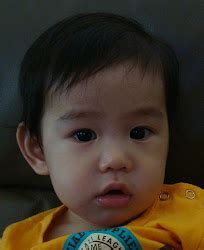 Sweetie Geniebear