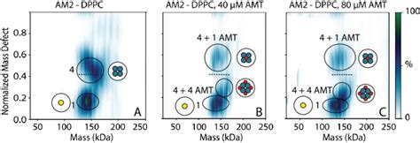 Mass Defect Heat Maps Of Am2 In Dppc Nanodiscs A With 40 µm