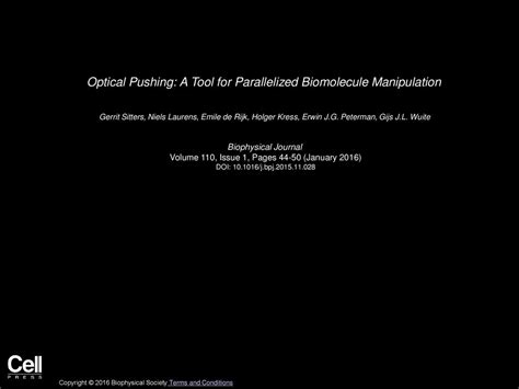 optical pushing a tool for parallelized biomolecule manipulation ppt