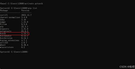 【利用anaconda安装pytorch（amd显卡）】amd Torch Csdn博客