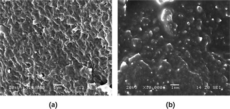 Sem Photographs Of The Impact Fracture Of The Pure Peek A And Ha Peek Download Scientific