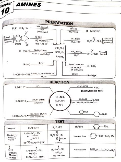 Amines Allen Handbook Pdf Chemical Reactions Amine