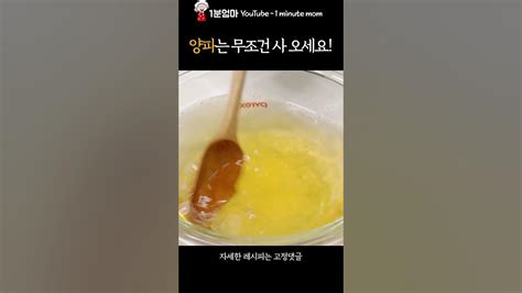 양파는 무조건 많이 사오세요 Shorts Youtube
