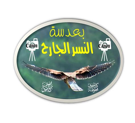 النسر الجارح