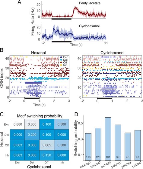 Olfactory Receptor Neurons Generate Multiple Response Motifs Increasing Coding Space
