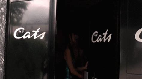 Pussy Cats 08 For Pc Carmen Rivera And Friends Clips4sale