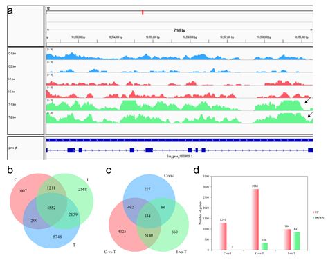 integration of atac seq and rna seq unravels chromatin accessibility