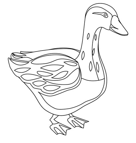 Раскраска Дикая Утка +69 фото и картинок, распечатать бесплатно.