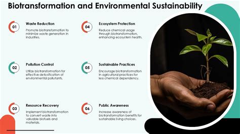 Biotransformation And Environmental Sustainability Ppt Slides St Ai Ss