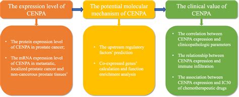 Iet Systems Biology Vol 17 No 5