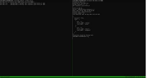 Launching A Python Webserver For Mobile Development Learning Actors