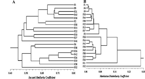 Dendrogram Derived From UPGMA Cluster Analysis Using A Jaccard S