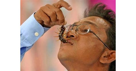 ЕС Може да ядем насекоми Български Фермер