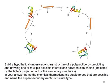 Solved Build A Hypothetical Super Secondary Structure Of A