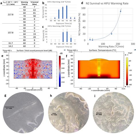 Presentation Of Results A Survival With Hifu According To Warming Download Scientific