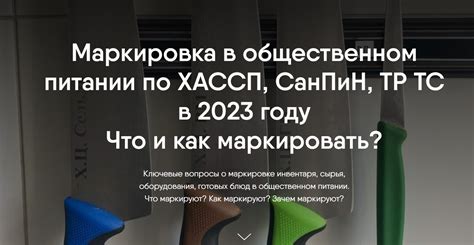 Маркировка в общественном питании по ХАССП, СанПиН, ТР ТС