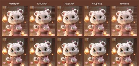 Progressive Vs Interlaced Video Encoding A Complete Guide Muvi One