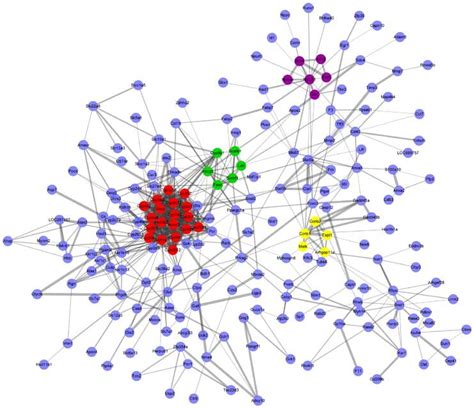 Ppi Network Analysis Of Differentially Expressed Genes The Ppi Network